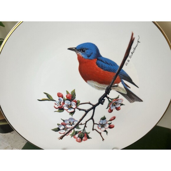 Avon | Accents | Vintage North American Songbird Plate Bluebird Special ...